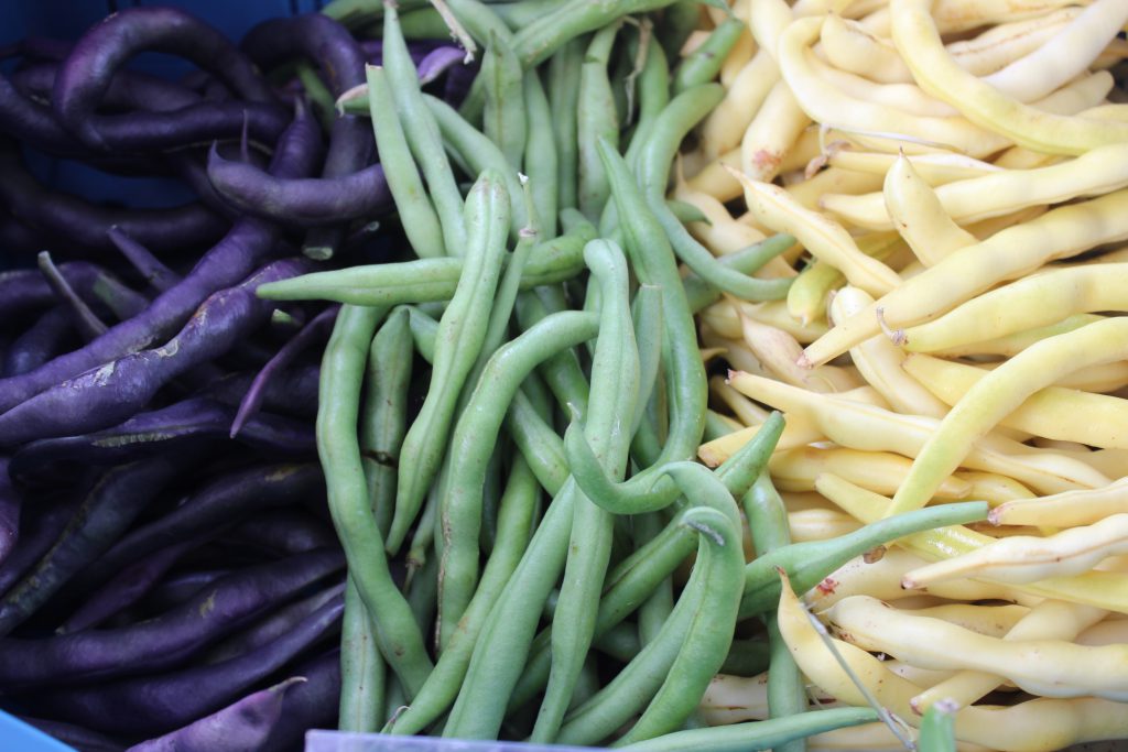 Gele spekbonen “Neckargold” – De Stek